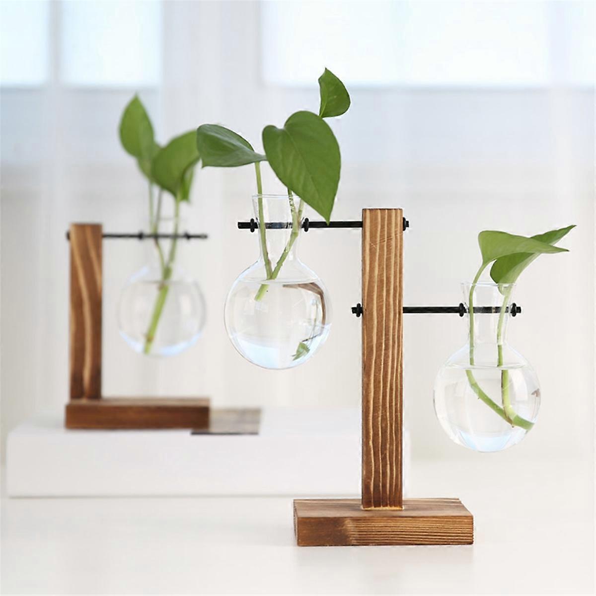 A Plant Propagation Stations Desktop Plant Terrarium | Fruugo AU
