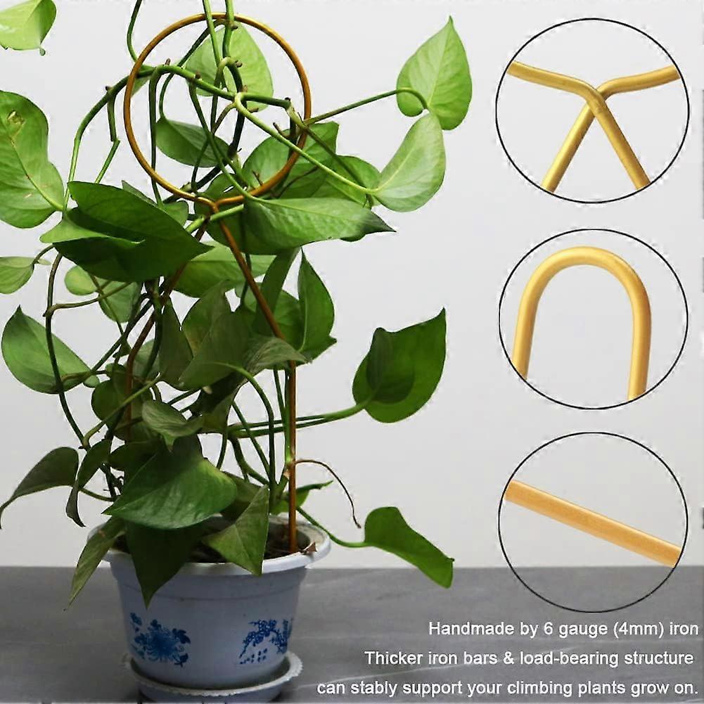 Small Metal Trellis for Potted Plants, 3 Pcs Gold Trellis for Climbing ...