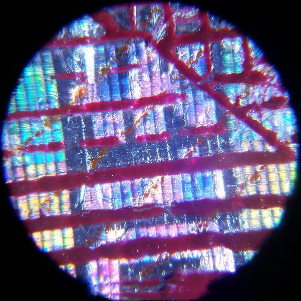 Magnifying Glass, 80X Mini Pocket Microscope Portable Double Tube ...