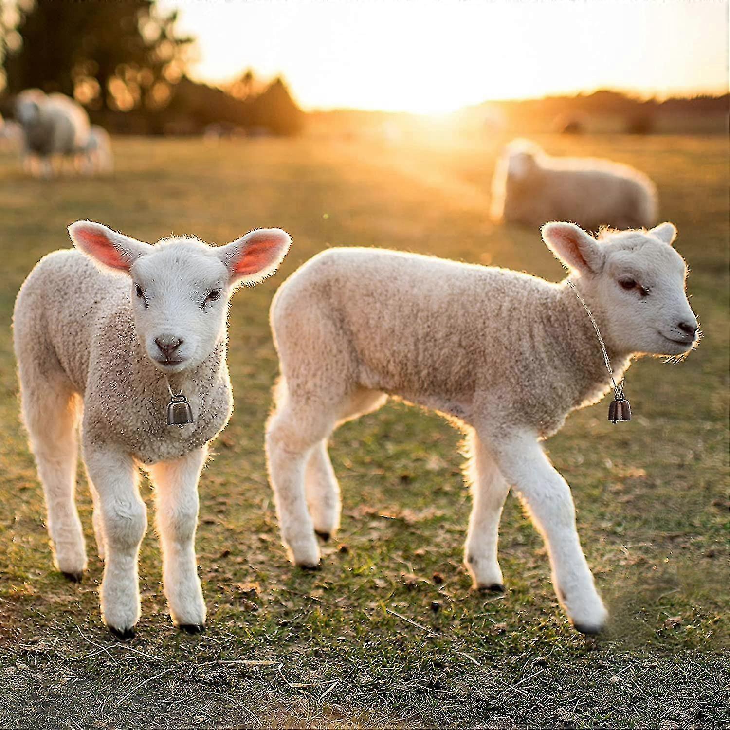 6 Piece Cow Bell, Sheep Cow Bells Pasture Bells, Copper Bells Cattle ...