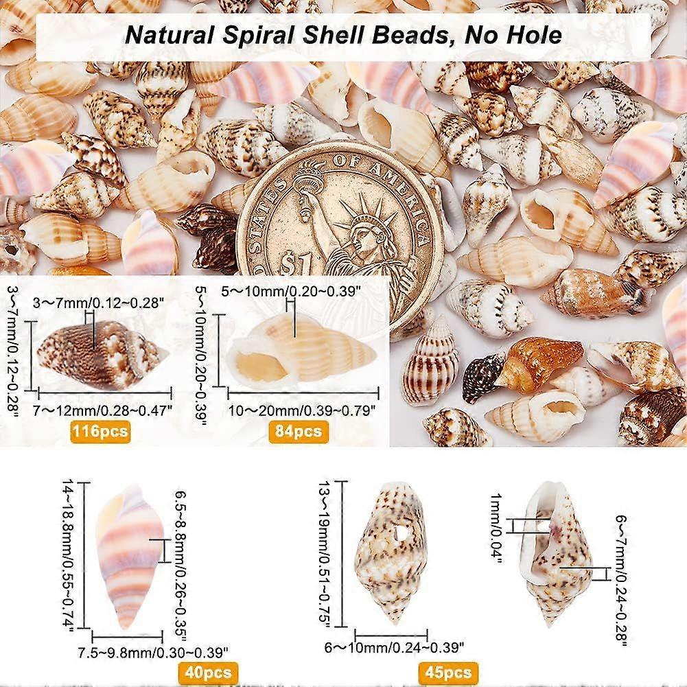 260pcs Sea Shells 4 Styles Ocean Spiral Seashells Tiny Beach Conch ...