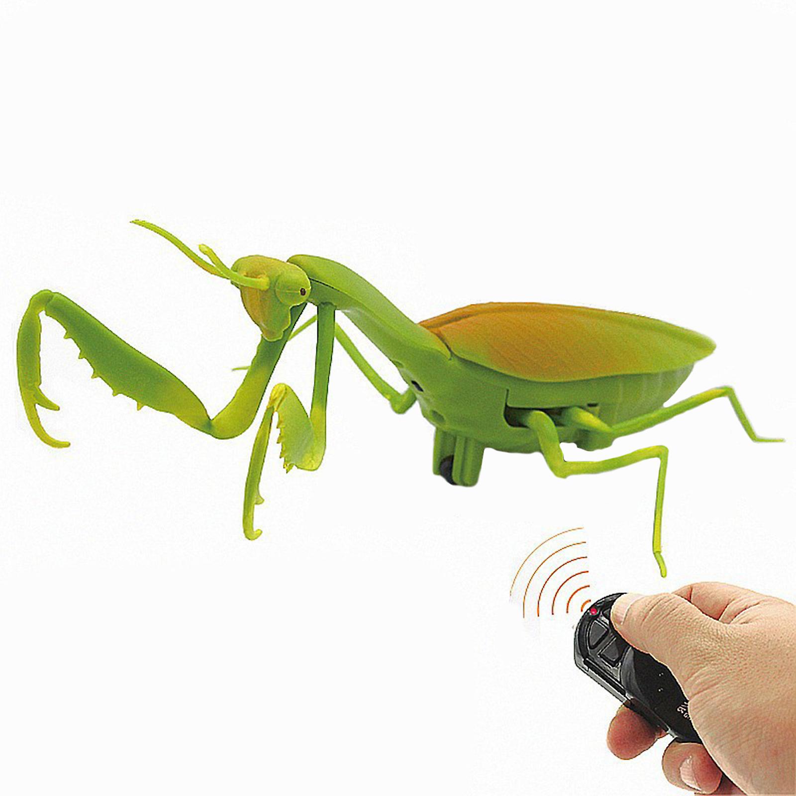 2024 New Realistic Spider Giant Fake Spider Action Model Plastic Animal ...
