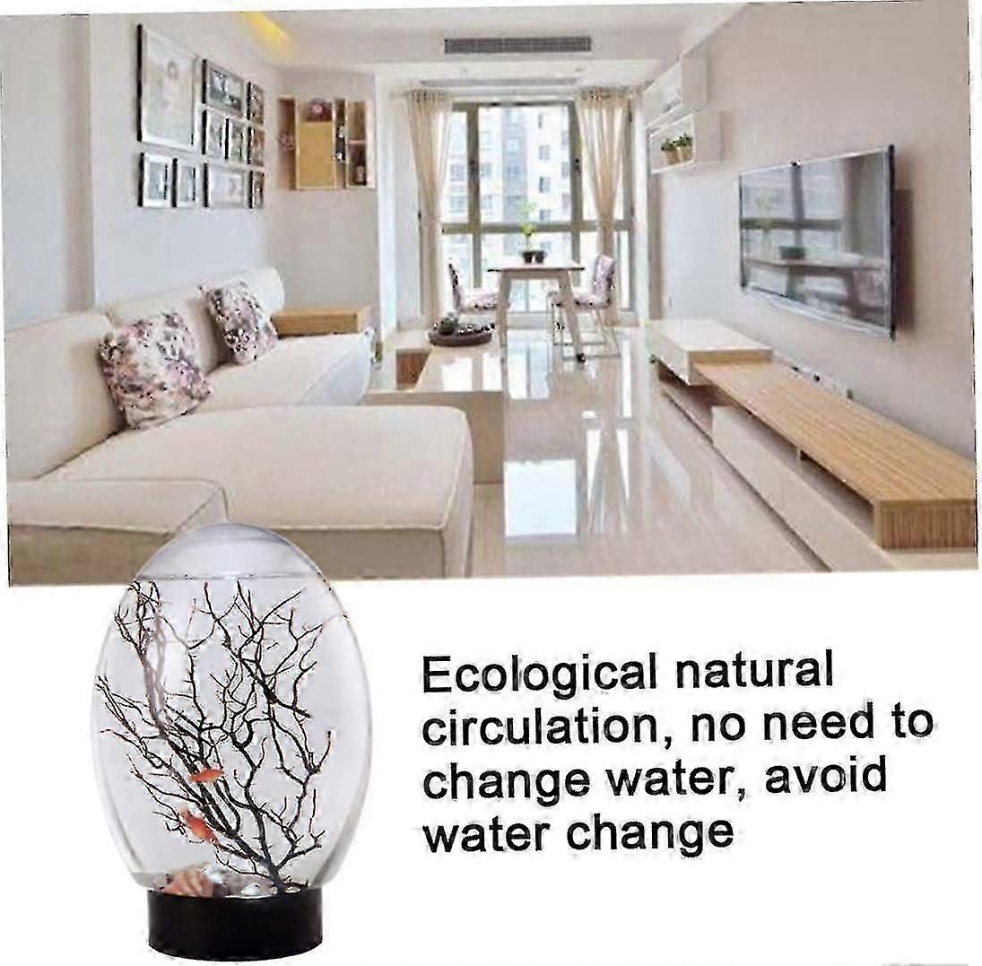 Mini Fish Tank Ecosphere Closed Aquatic Ecosystem Desktop Aquarium with ...