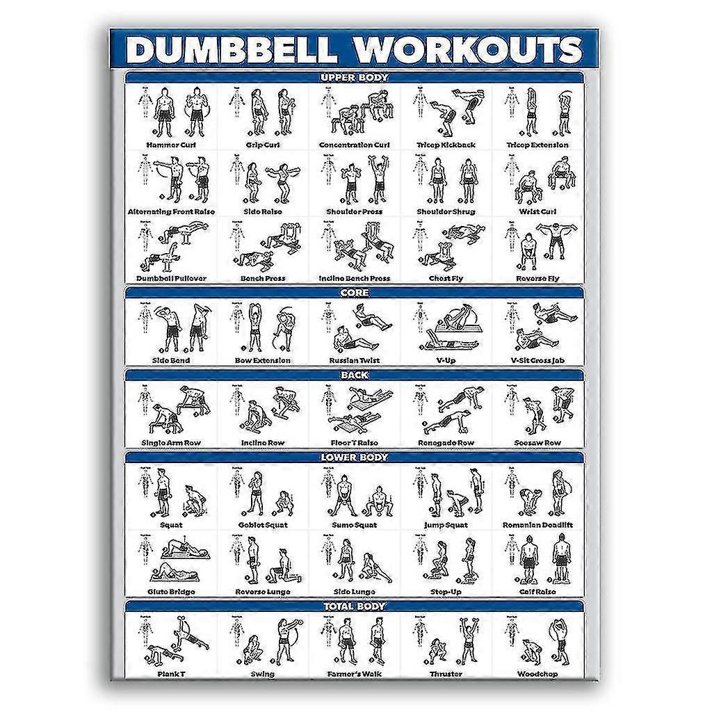Learning Dumbbell Workout Exercise Poster Laminated Free Weight Body ...