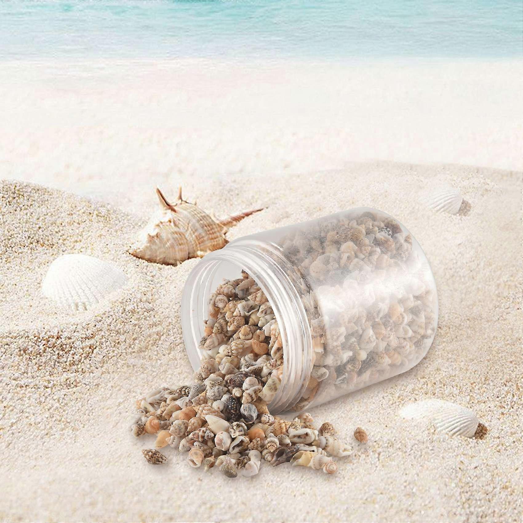 About 1300-1500 Tiny Sea Shell Ocean Beach Spiral Seashells Craft ...