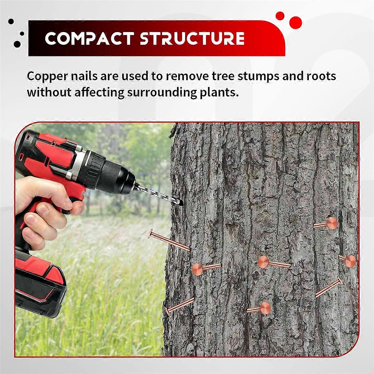 25 Pcs Copper Nails to Killing Trees,3.5 Inch Pure Copper Nails Bulk ...