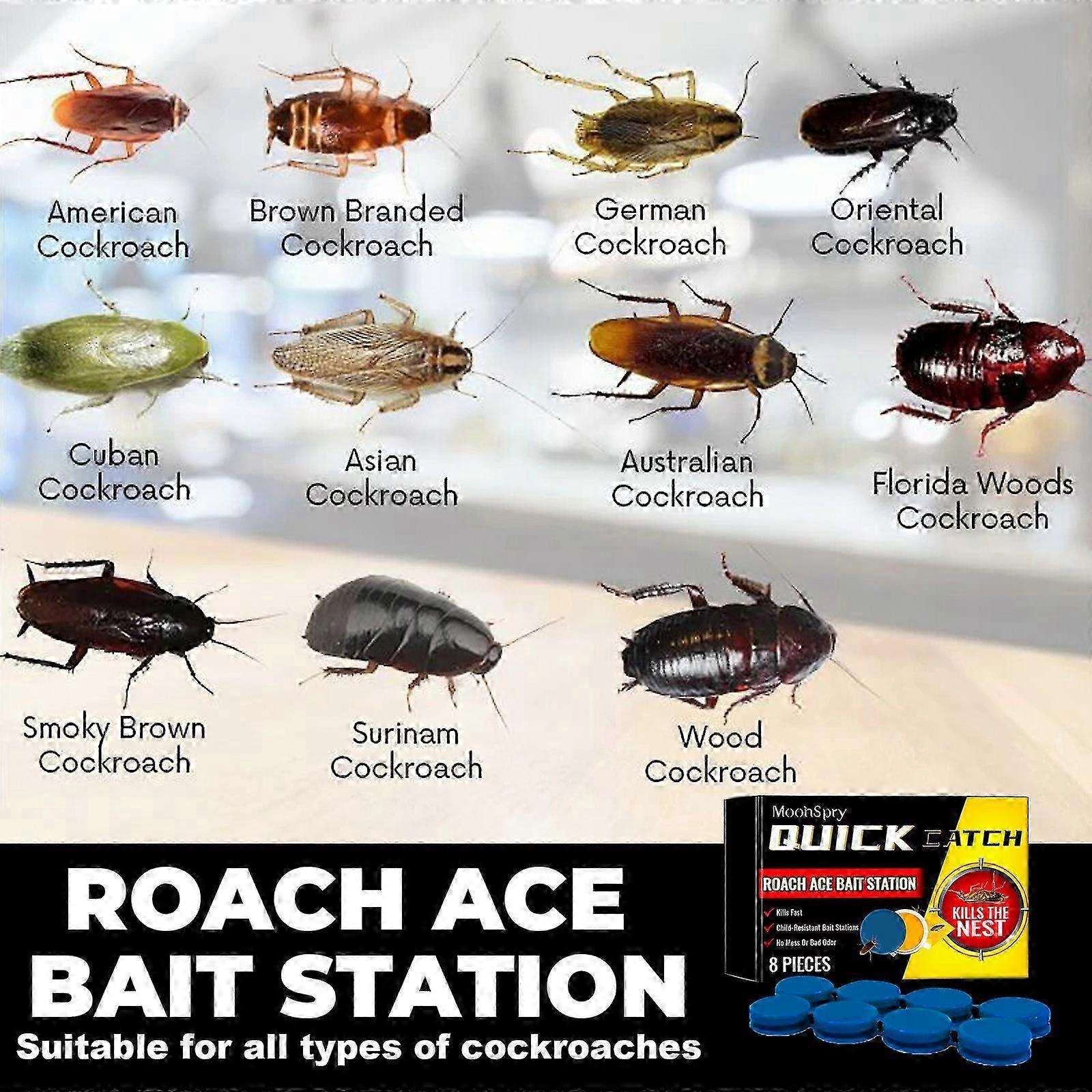Cockroach bait station, insect repellent cockroach bait, kitchen home ...