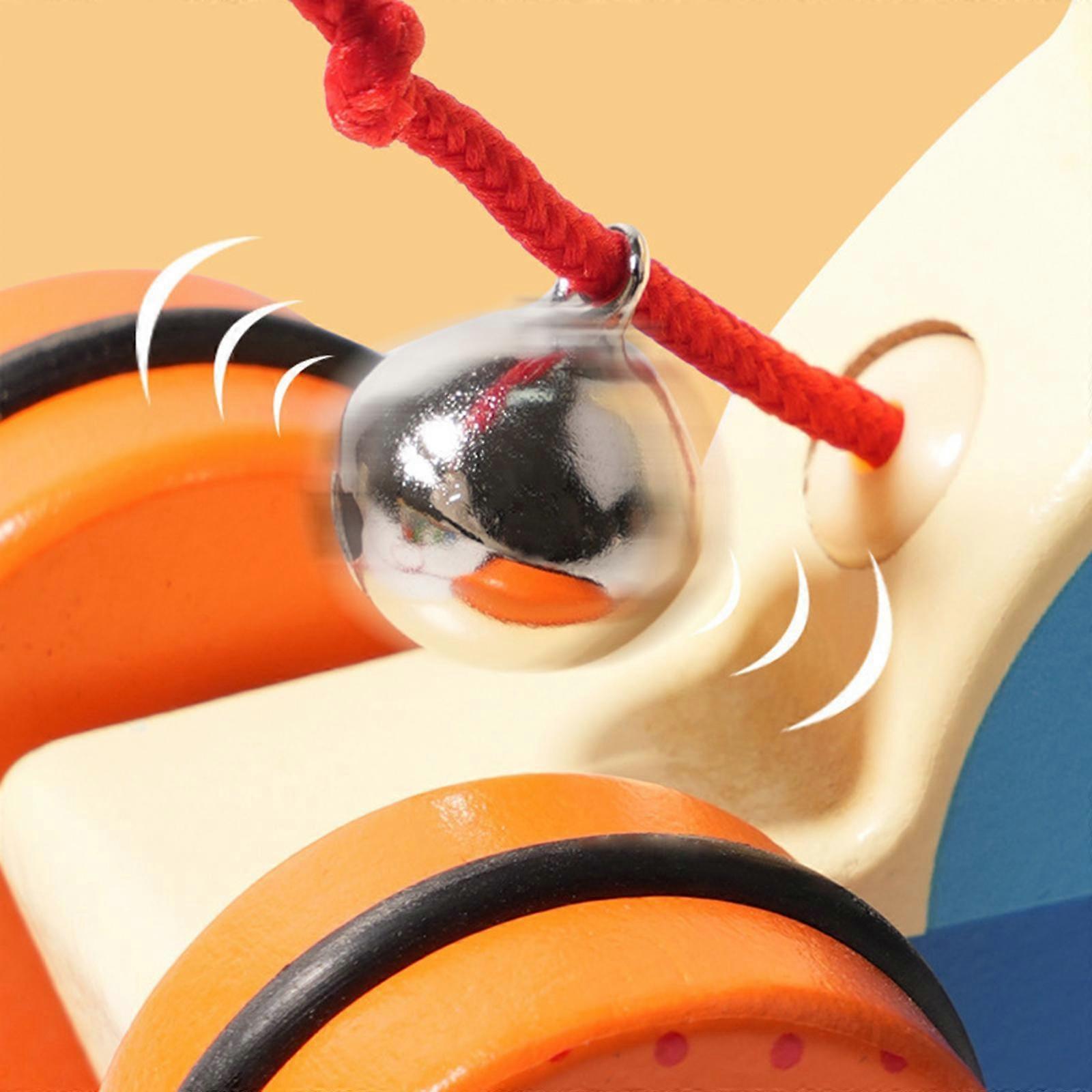 Pull Along Toy with String Animal Push and Pull Along Toy Fine Motor ...