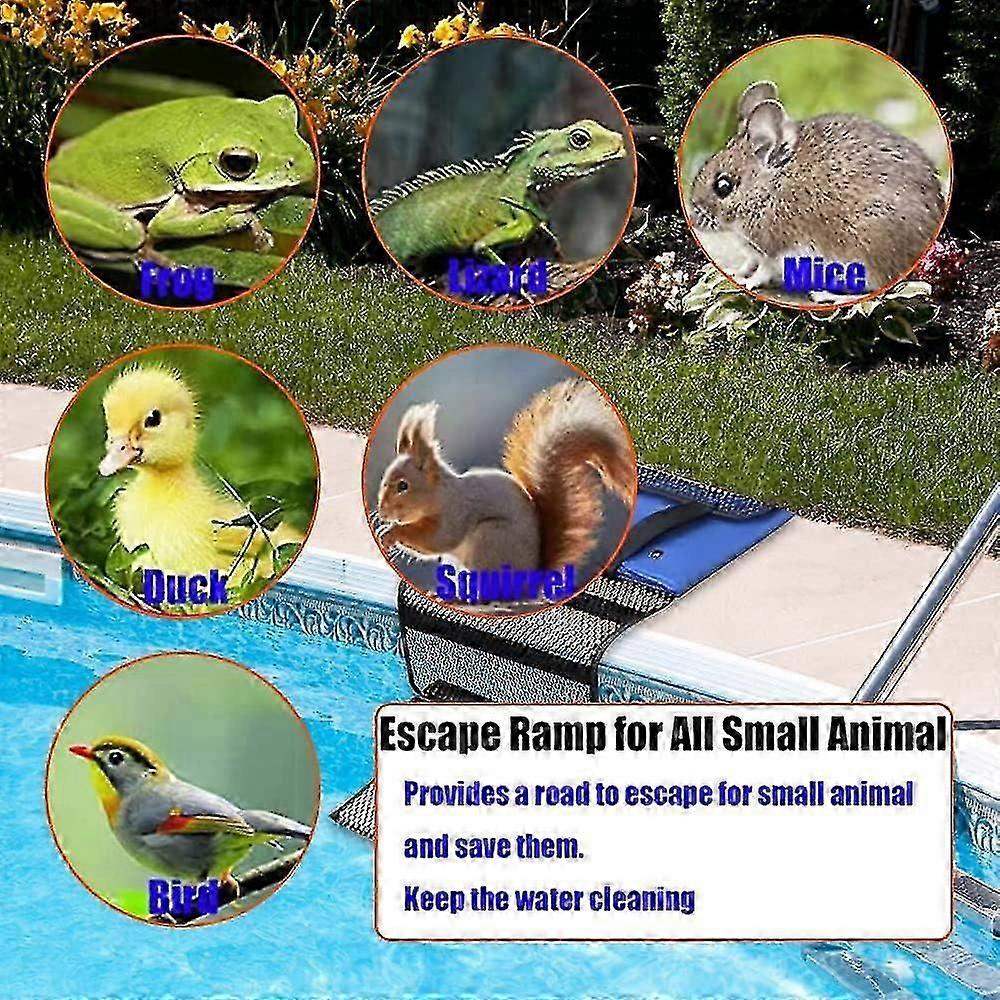 Animal Saving Escape Ramp For Pools And Spas, Frog And Animals Saver ...