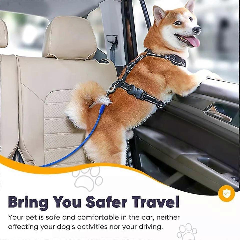 Dog Seat Belt for Car, Chew Proof Durable Tether for Small Dogs, Safety ...