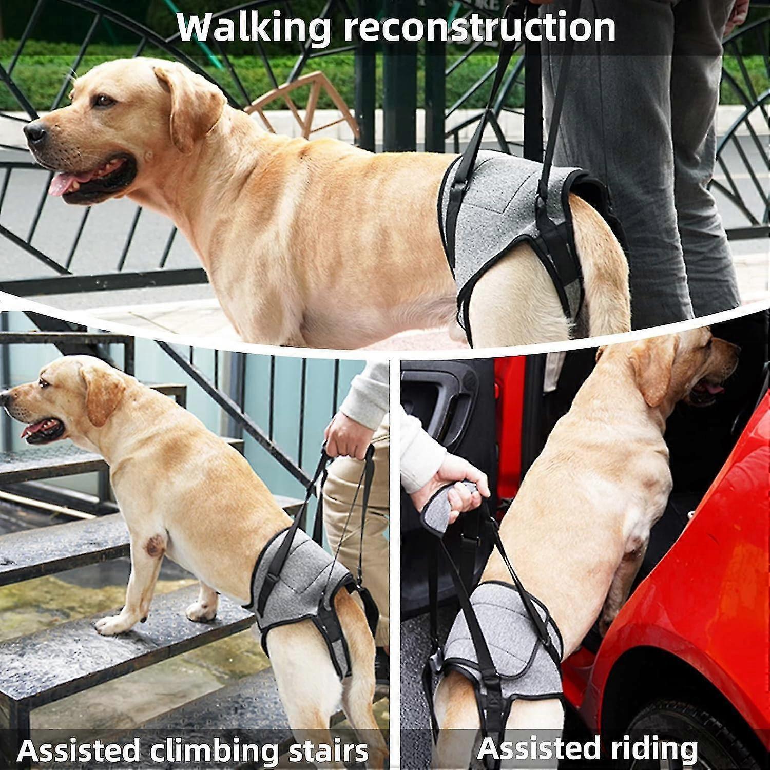Dog Support Harness for Back Legs Large Dog Harness with Lift Handle ...