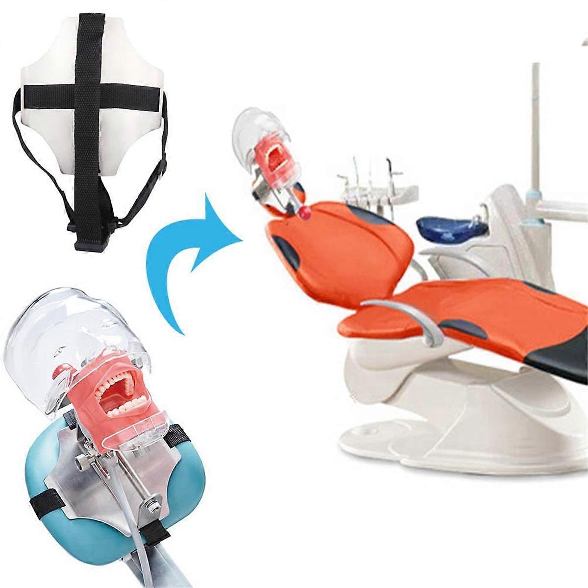 Dental Simulator Mannequin-, Dental Teaching- Model Fix on Chair with ...