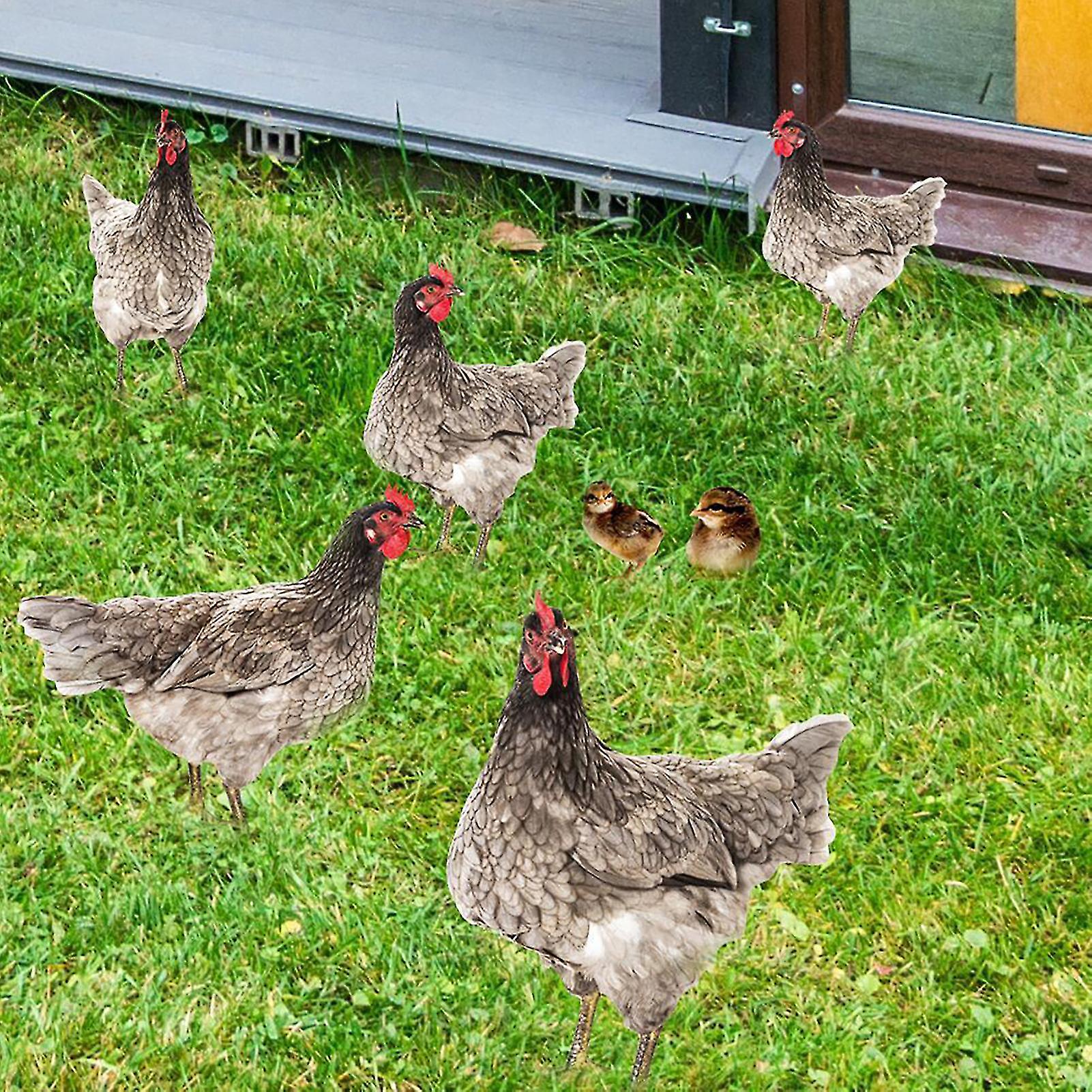 Rooster Decor Realistic Life-like Ornamental Double-sided Printing ...