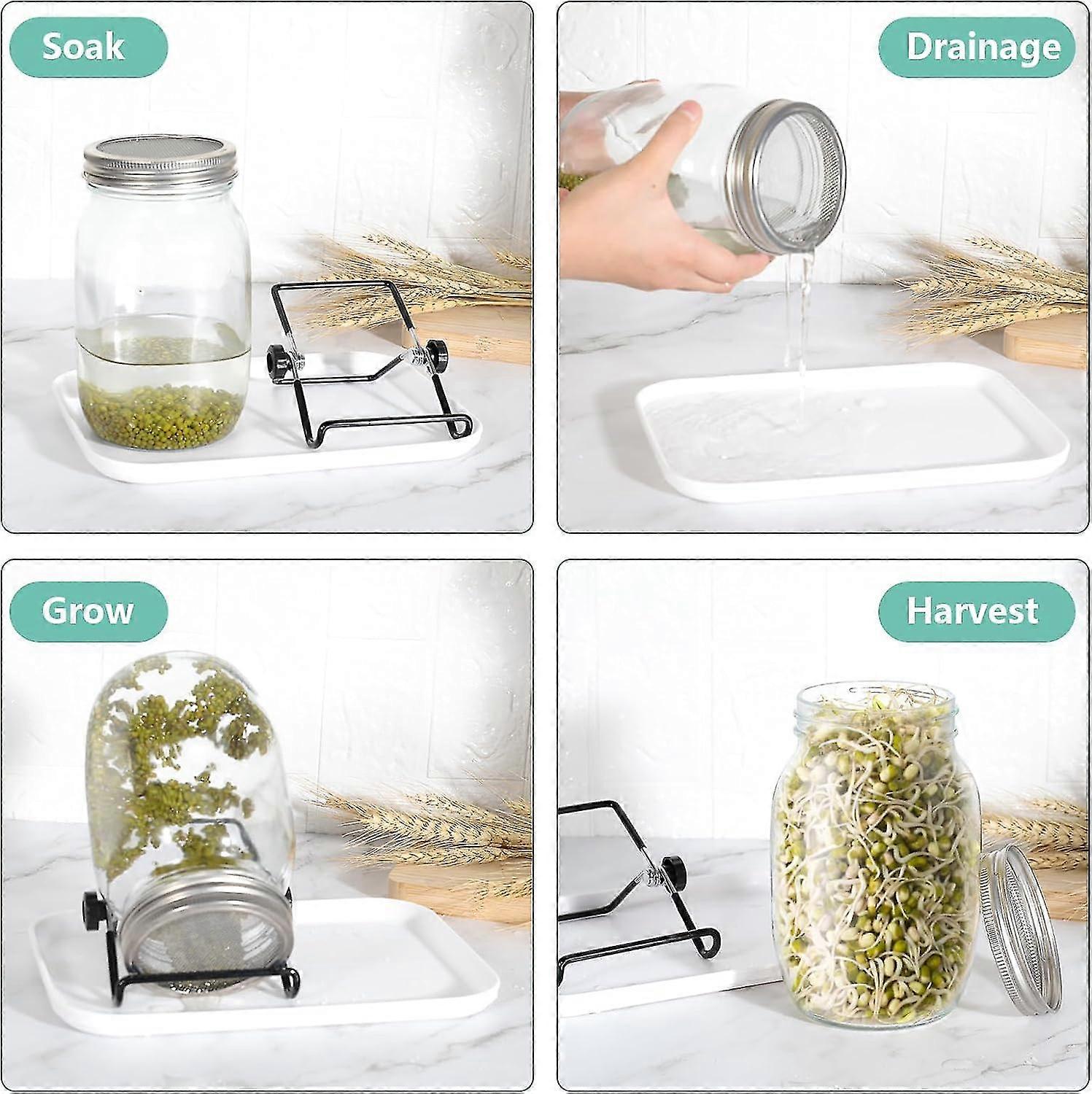 Sprout Jar, 2 x 1000ml Glass Sprout Jar Sprout Jar with 2 Stainless ...