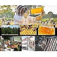 Beekeeping Tool Export Type Electric Honey Cutter Knife Honey Wax ...