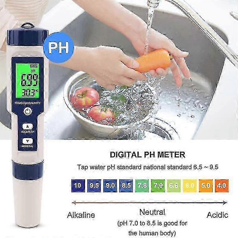 Pool Salt Tester, Digital Salinity Meter, High Accuracy 5 In 1 Salinity ...