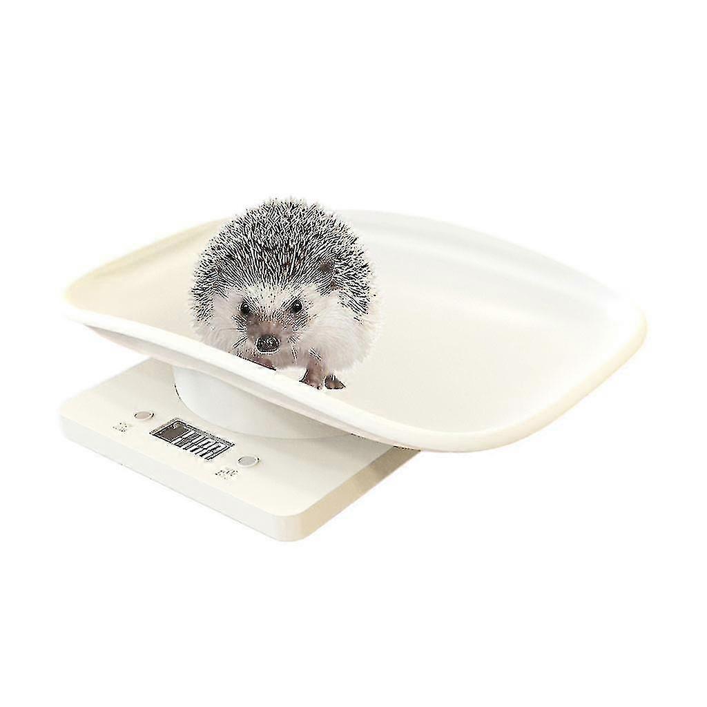 Pet Scale,multi-function Scale, Infant Scale Digital Weight With Height ...