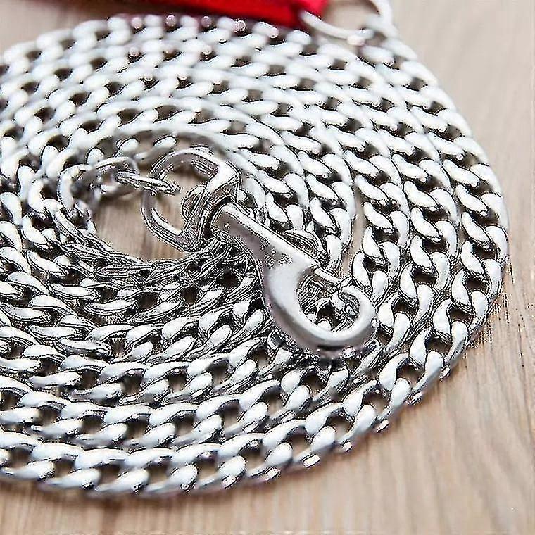 Anti-bite Dog Traction Iron Chain Dog Leash Plus Foam Anti-slicing ...