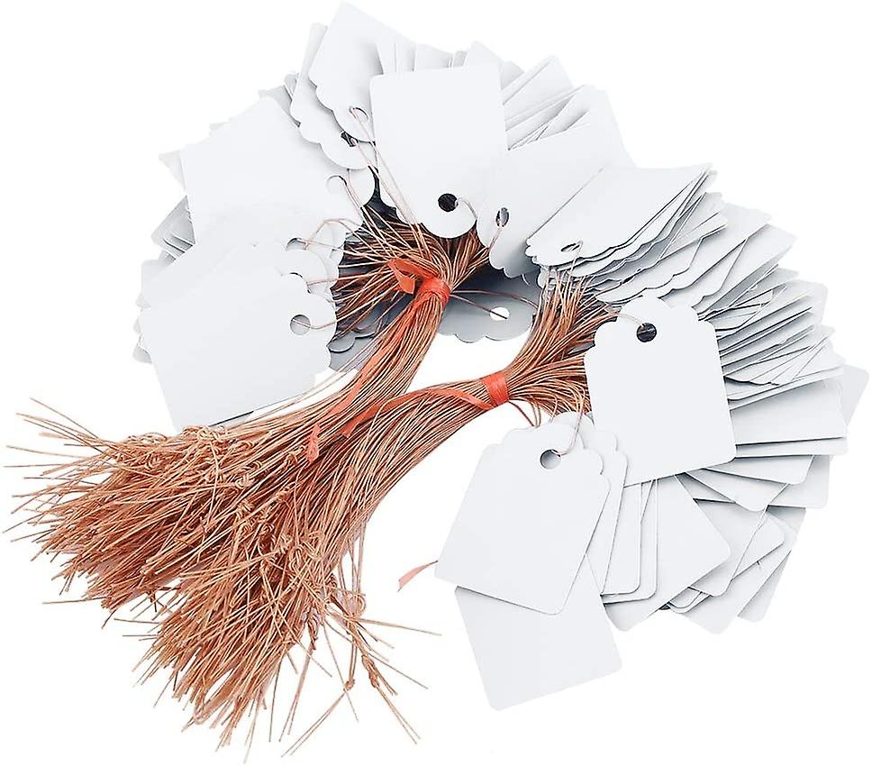 200pcs PVC Plant Tags Hanging Flower Seed Name Label Tag Marker Sign ...