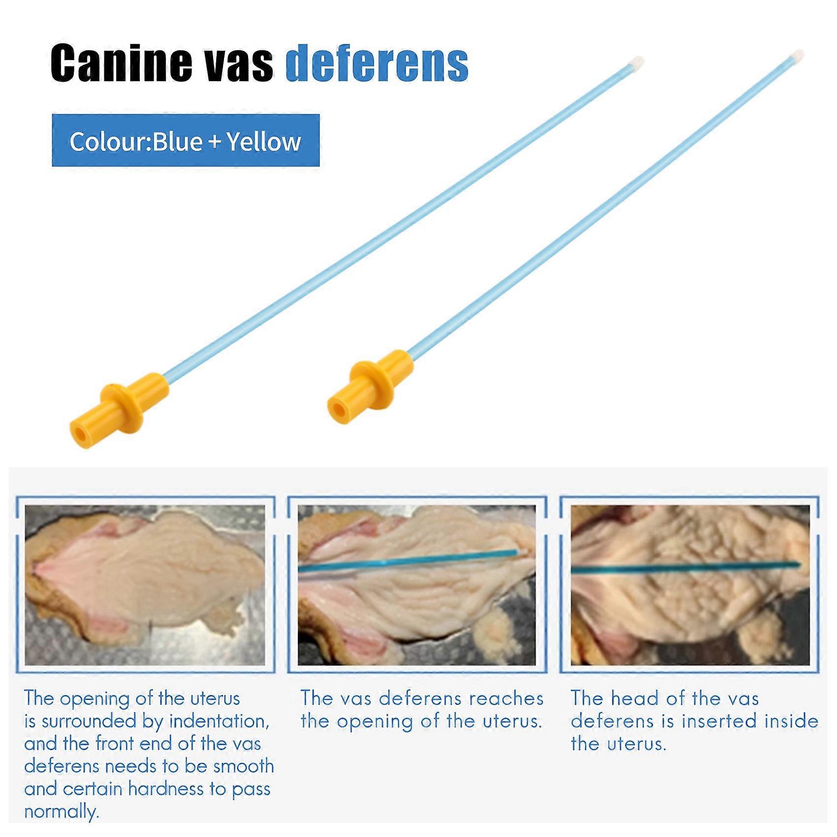 50PCS Artificial Insemination Tube for Dog Canine Disposable ...