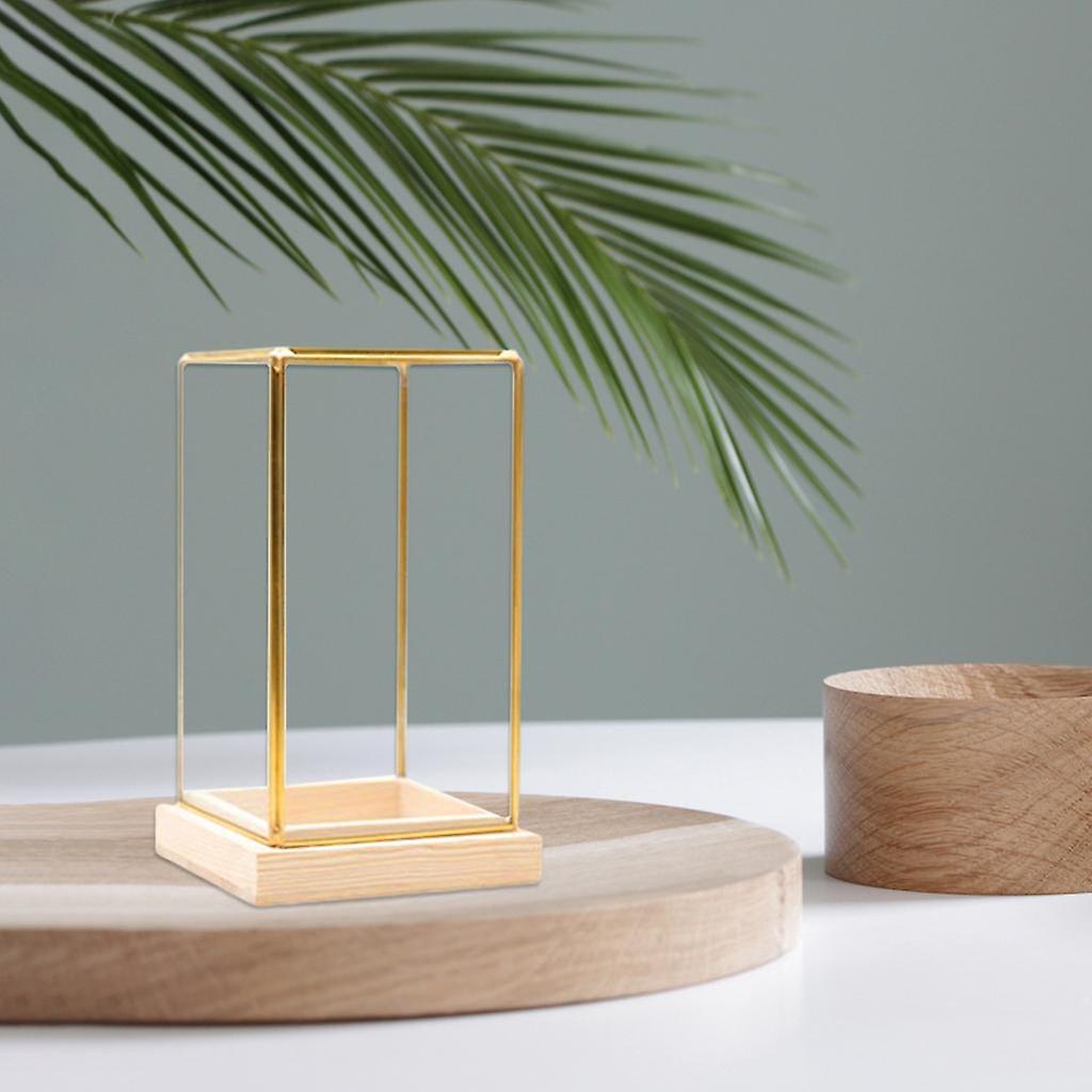 Glass Display Case Decorative Cuboid Antique Artwork Showcase Terrarium ...