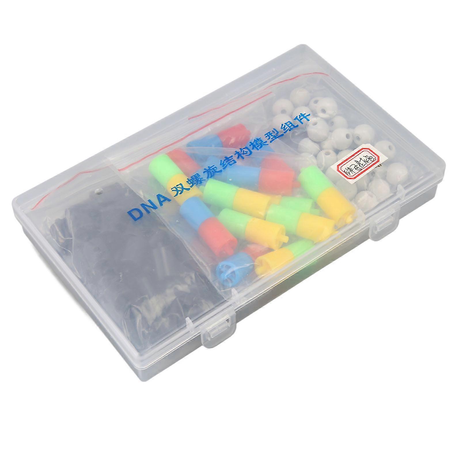 DNA Double Helix Structure Models Educational DNA Double Helix Modesl ...