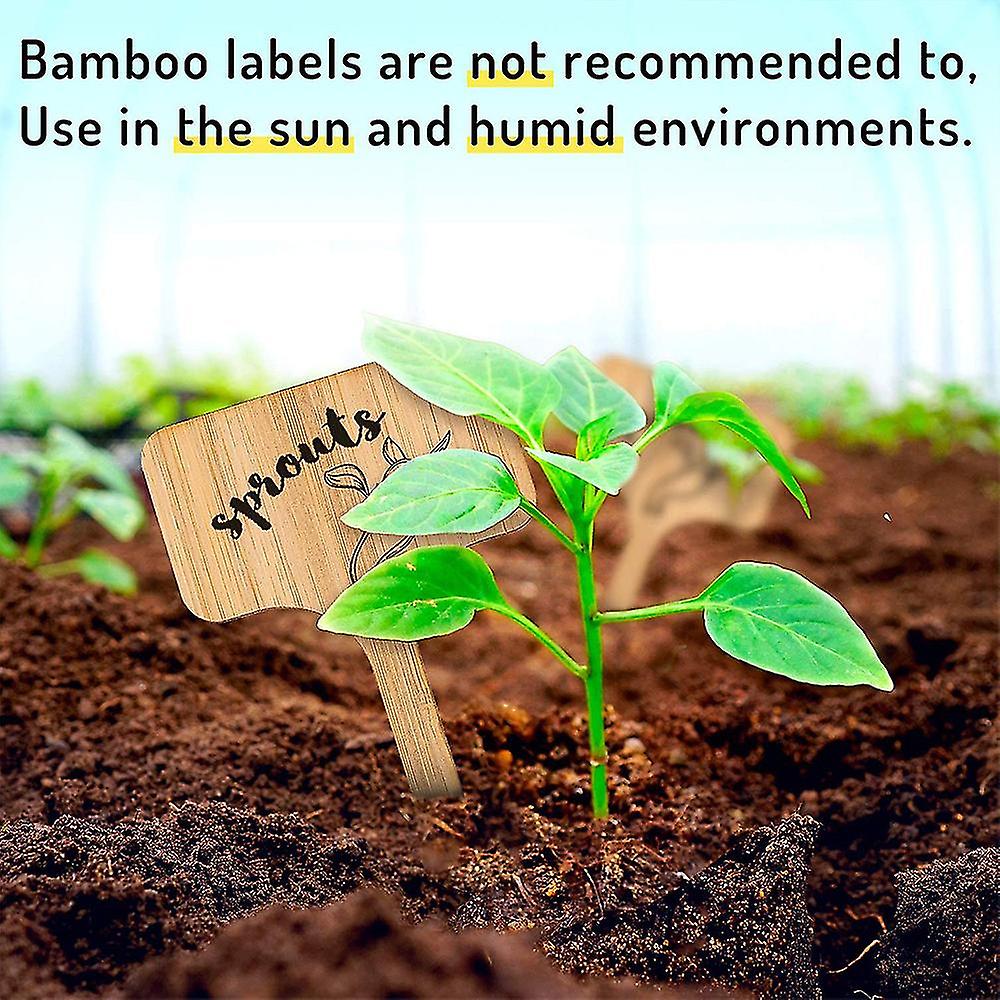 50 Pcs Plant Signs Bamboo, T-shape Plant Plug Labeling Stick-in Labels ...