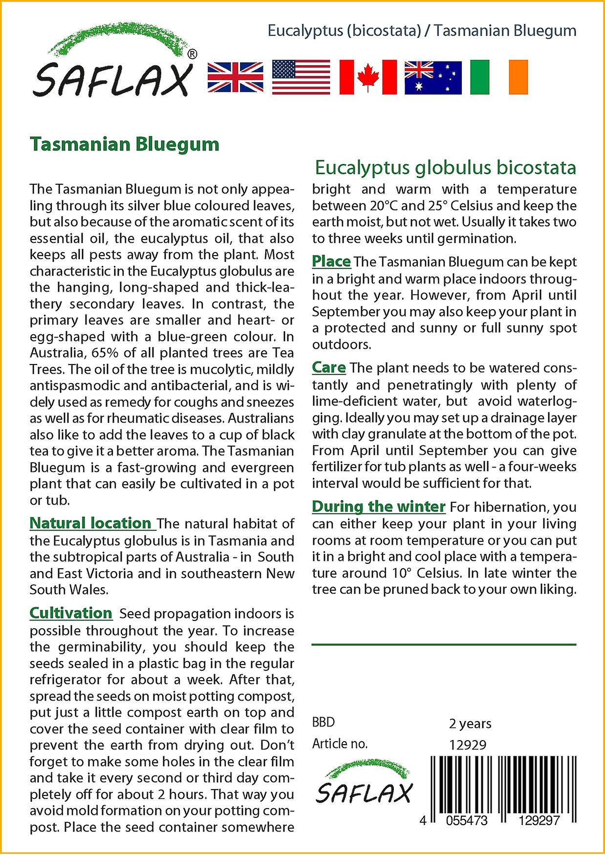 Saflax - 100 frø - Med jord - Tasmansk blågummi - Eukalyptus (bicostata ...
