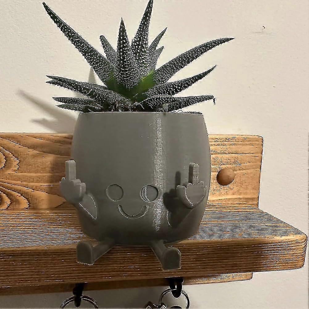 Smiling Plant Pot With Middle Fingers Up, Unique Cute Flower Pots For ...