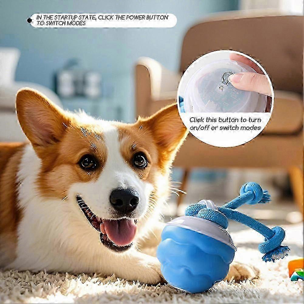 Rechargeable Interactive Dog Toy Ball, Motion Activated Rolling Ball ...