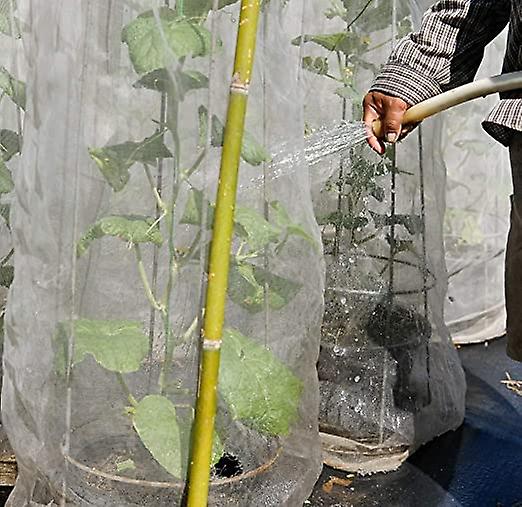 Anti-Insect Net, 2.5 x 10 M Anti-Insect Protection Net, Vegetable Anti ...