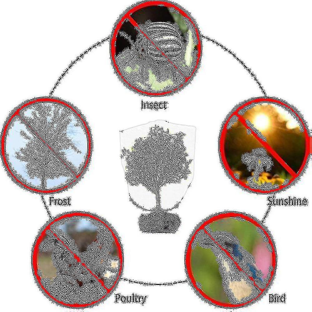 Plant Insect-proof Net, Insect-proof Bag, Drawstring Anti-bird Net ...