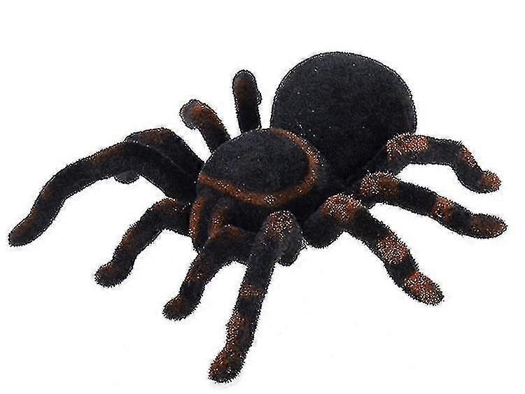 For Rc Spider Realistic Infrared Rc Animal Tarantula With Lighting ...