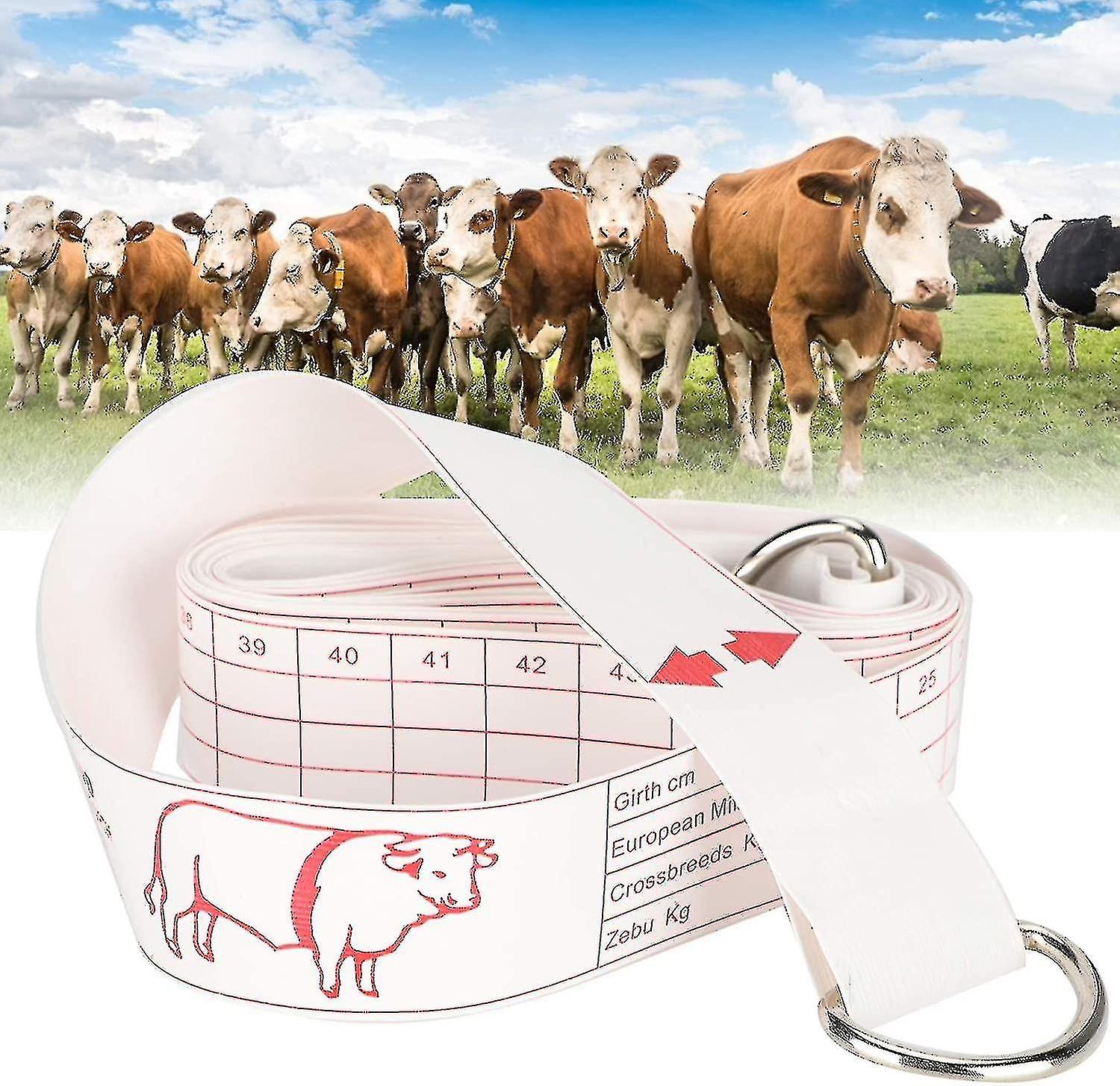 Portable Cattle Body Weight Tape Measure2.5mFarm Equipment | Fruugo UK
