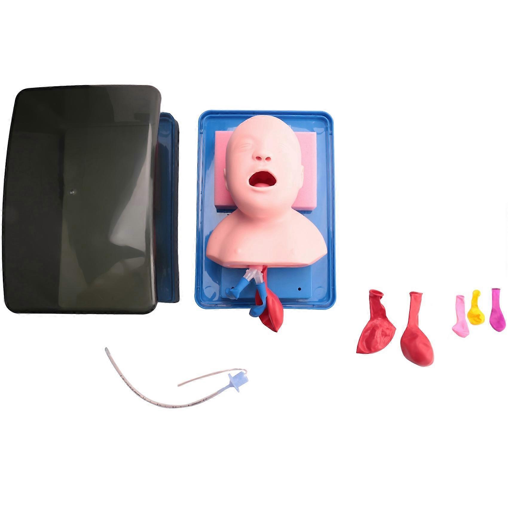 Neonatal Tracheal Intubation Model Analog Double Lung and Stomach ...