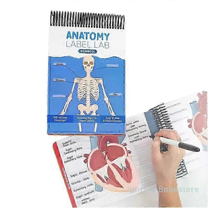 Anatomy Label Lab Workbook 100+ Full-Color Dry-Erase Pages With Human ...