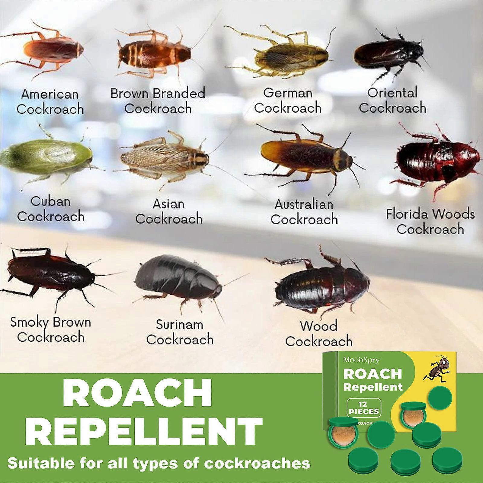 12Pcs Roach Repellent Enduring Effect Roach Bait Stations for Indoor ...