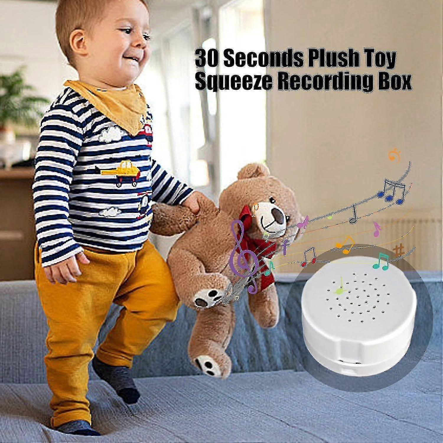 Voice Recorder For Teddys Bear Press Recordable Voice Sound Box ...
