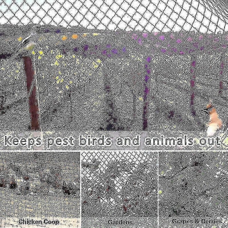 Bird Proof Net, Garden Fence And Crop Protection Fence Net, Bird Proof ...