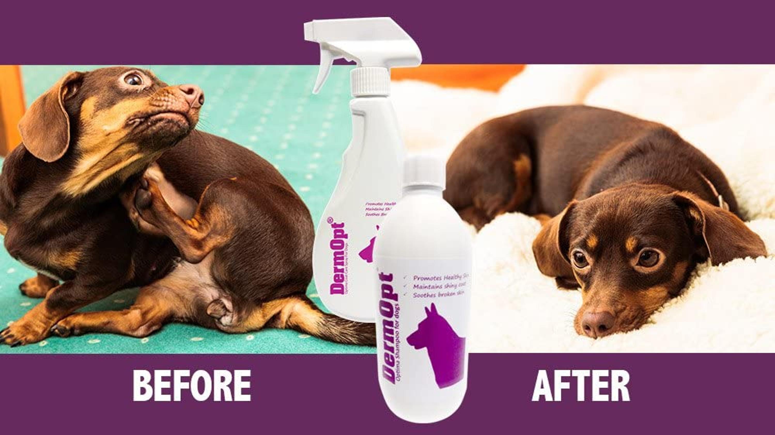 DermOpt Itchy Dog Shampoo, Conditioner, Moisturiser (500ml) | Fruugo UK