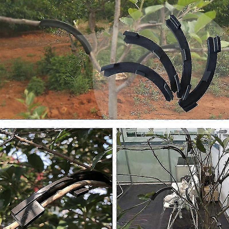 Fruit Tree Branch Bender Garden Tool Tree Branch Shaping Fixing Device ...