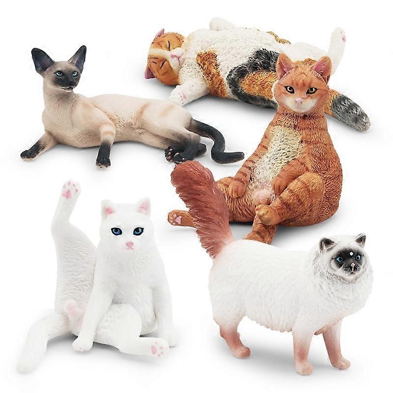 Simulation cat model Ragdoll lazy orange cats Siamese cat small ...