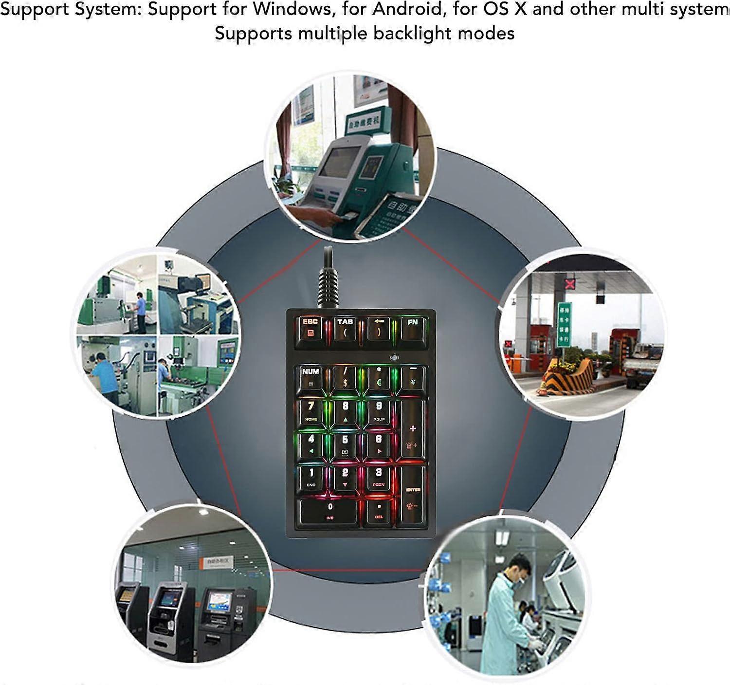 Numeric Keypad, Wired Mechanical Numpad with 21 Blue Switch Keys, Color ...