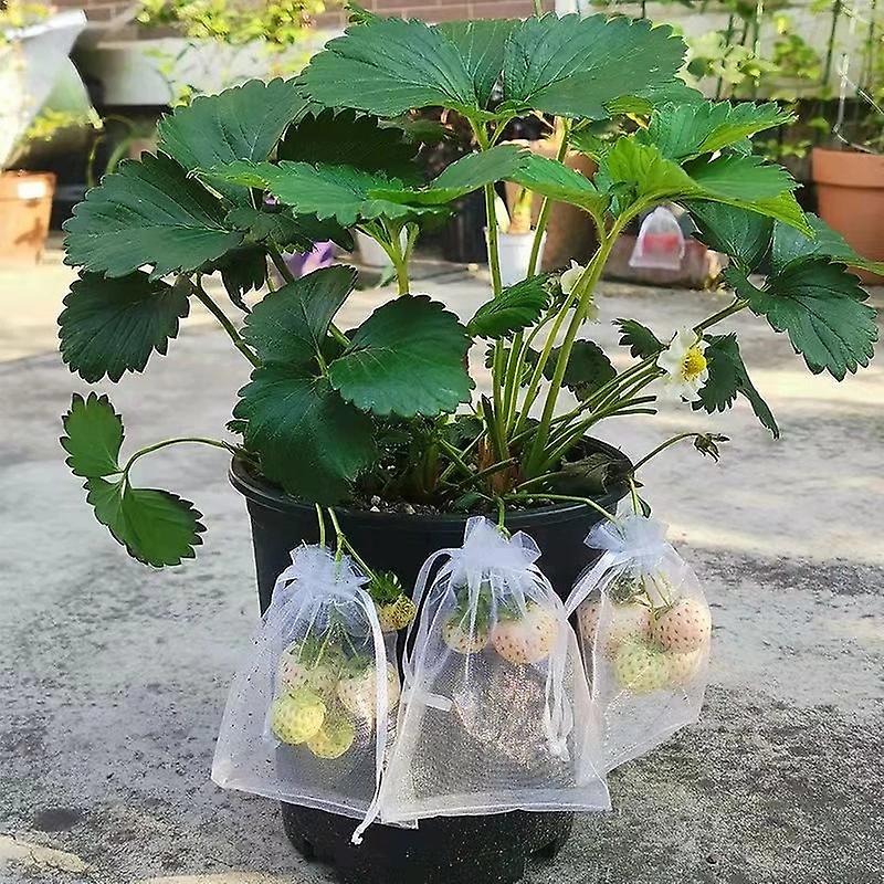 White Grape Protection Bag, 100pcs Bunch Protection Bag, 17 X 23 Cm ...