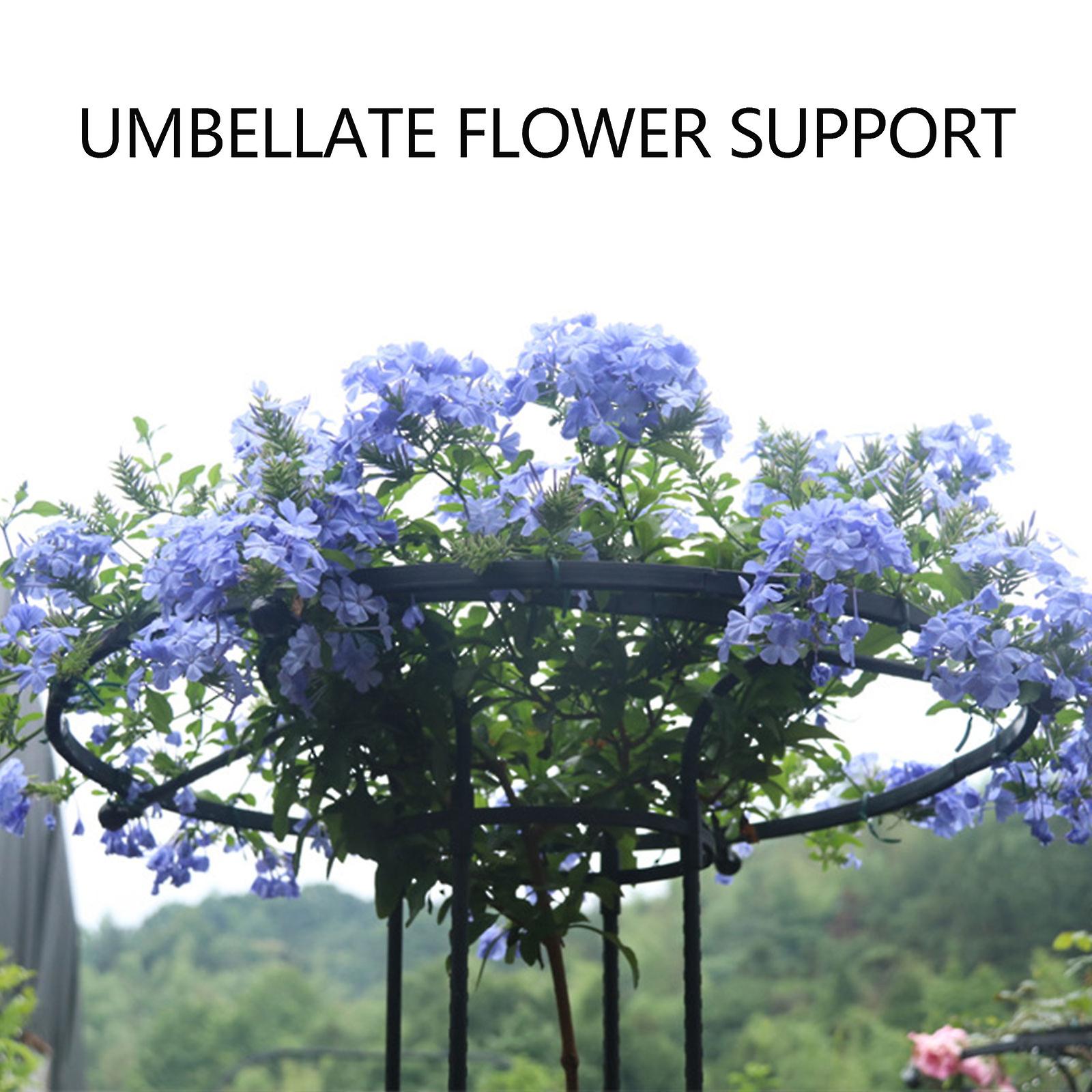 Flower Plant Support Frame - Sturdy Climbing Rack For Garden, Total ...