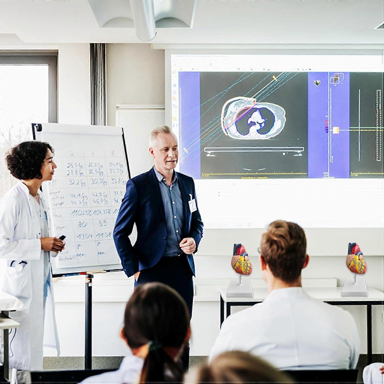 Human Heart Model: 1:1 Anatomical Heart Model, Detachable Human Heart ...