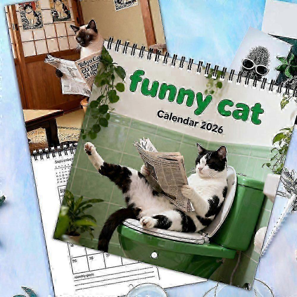 Funny Cat Calendar 2026 - Large 12 Month 2026 Wall Calendar - Month to ...