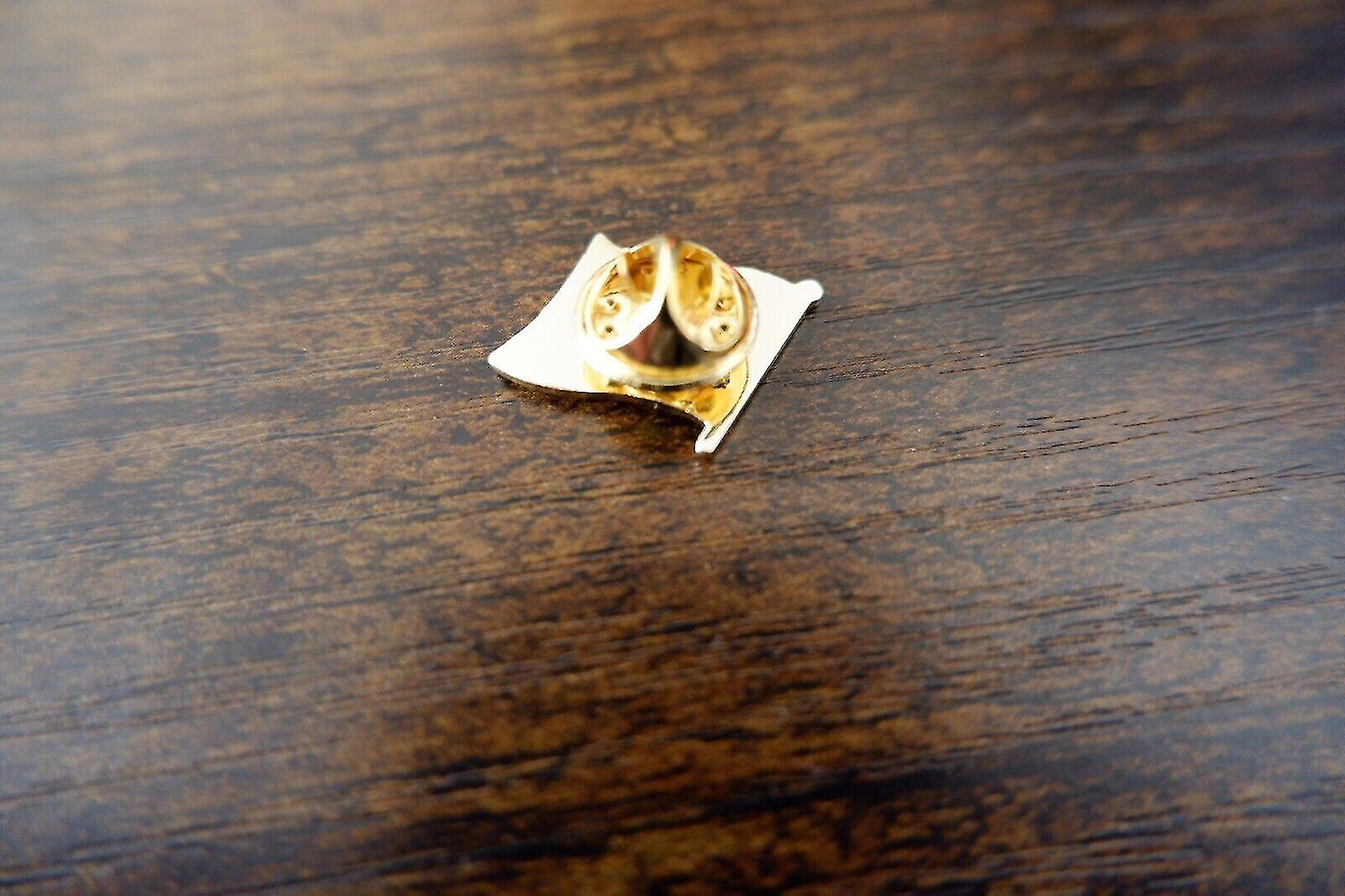 2-10pcs Palestine Palestinian Flag Pin Badge Lapel - Free Palestine ...