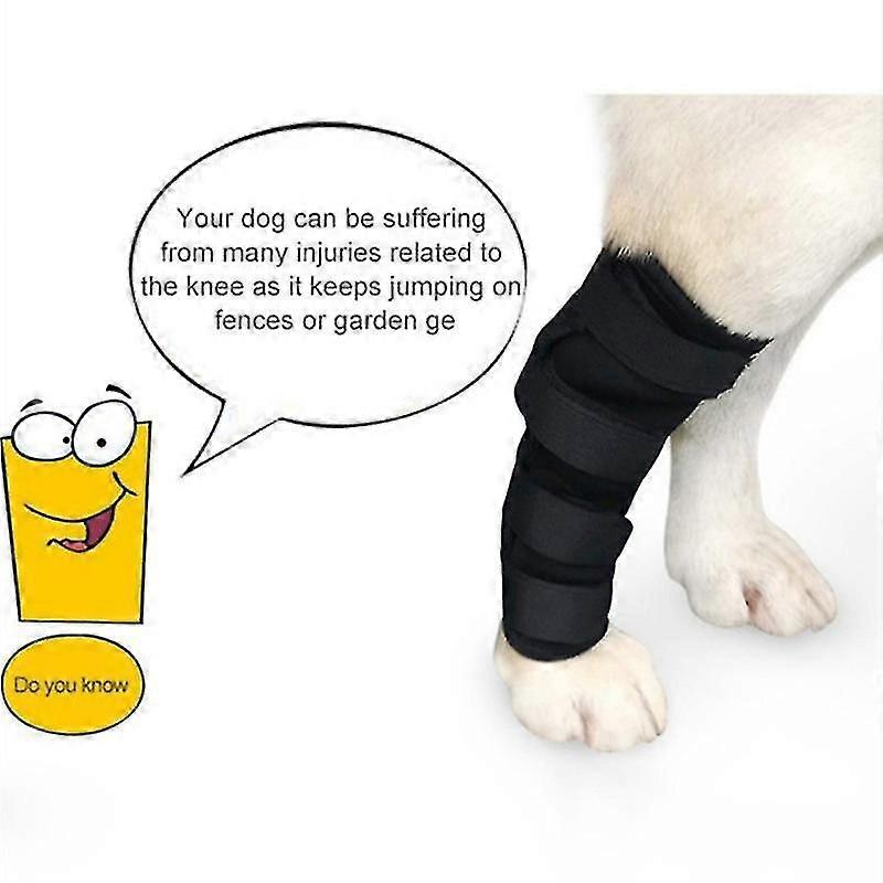 Dog Leg Brace Hock (ankle) Joint Support | Helps With Hind Leg Injuries ...