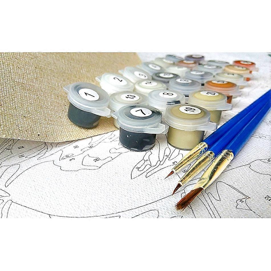 CHENISTORY 40x50cm Paint By Numbers Paint Kit Drawing By Numbers ...